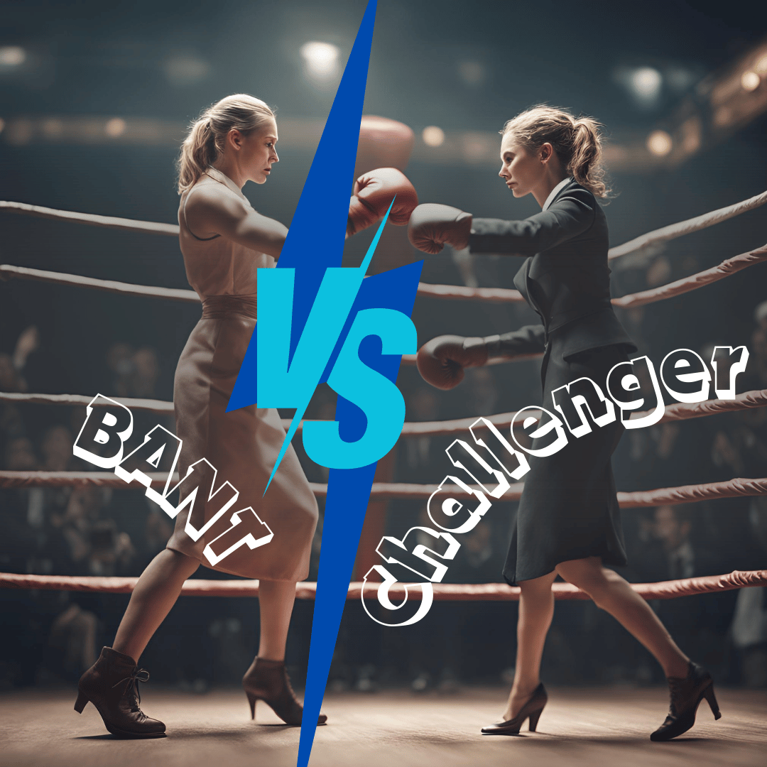 Bant Vs Challenger Choosing The Right Sales Framework For Your Team